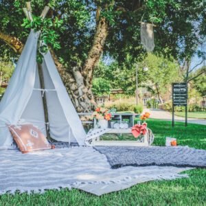 Enjoy a riverside picnic with a beautiful luxury setup and celebrate at ...