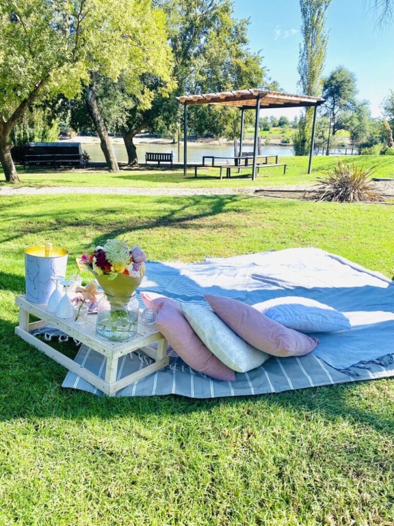 Enjoy a riverside picnic with a beautiful luxury setup and celebrate at ...