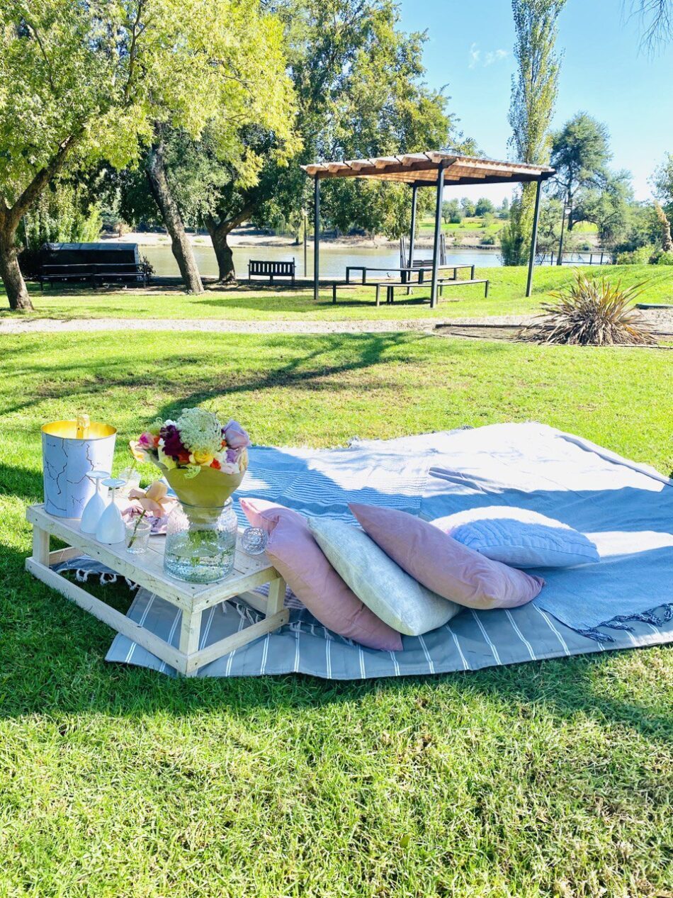 Enjoy a riverside picnic with a beautiful luxury setup and celebrate at ...