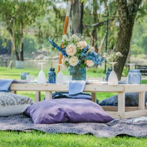 Enjoy a riverside picnic with a beautiful luxury setup and celebrate at ...